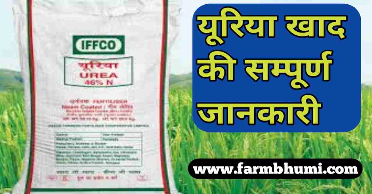 यूरिया खाद की पूरी जानकारी [Price, 50 Kg, उपयोग] | Urea Khad Uses Hindi ...